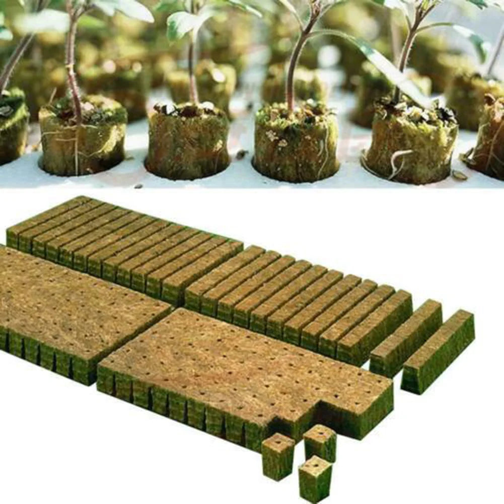 Starter Block Plugs Grow Tray Wool Cubes Hydroponic Soilless Starting ...