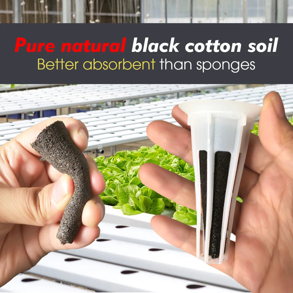 6x2cm Hydroponics Grow Sponge for Indoor Garden Growing System Supplem ...