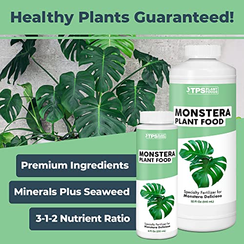 Monstera Plant Food for Monsteras and Philodendrons, Tropical Housepla ...
